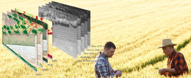 Multispectral Mapping For Crops And Vegetation - Queensland Drones